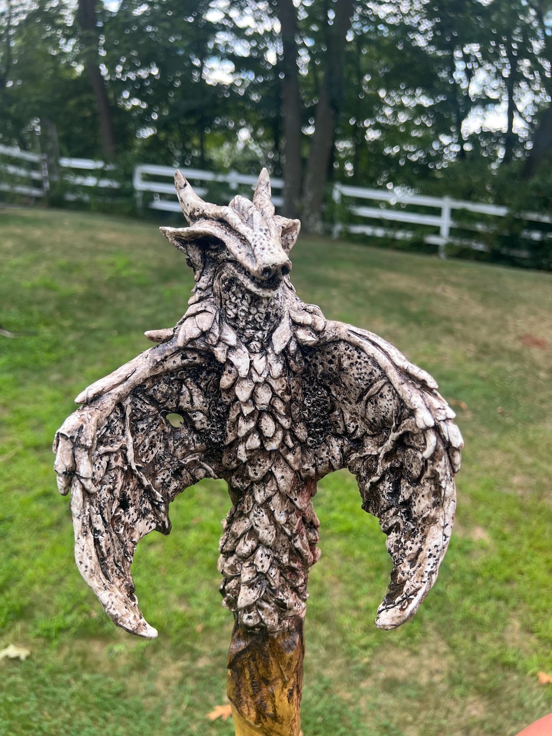 Hand-carved Flying Dragon Walking Stick: Appalachian Timber Hiking ...