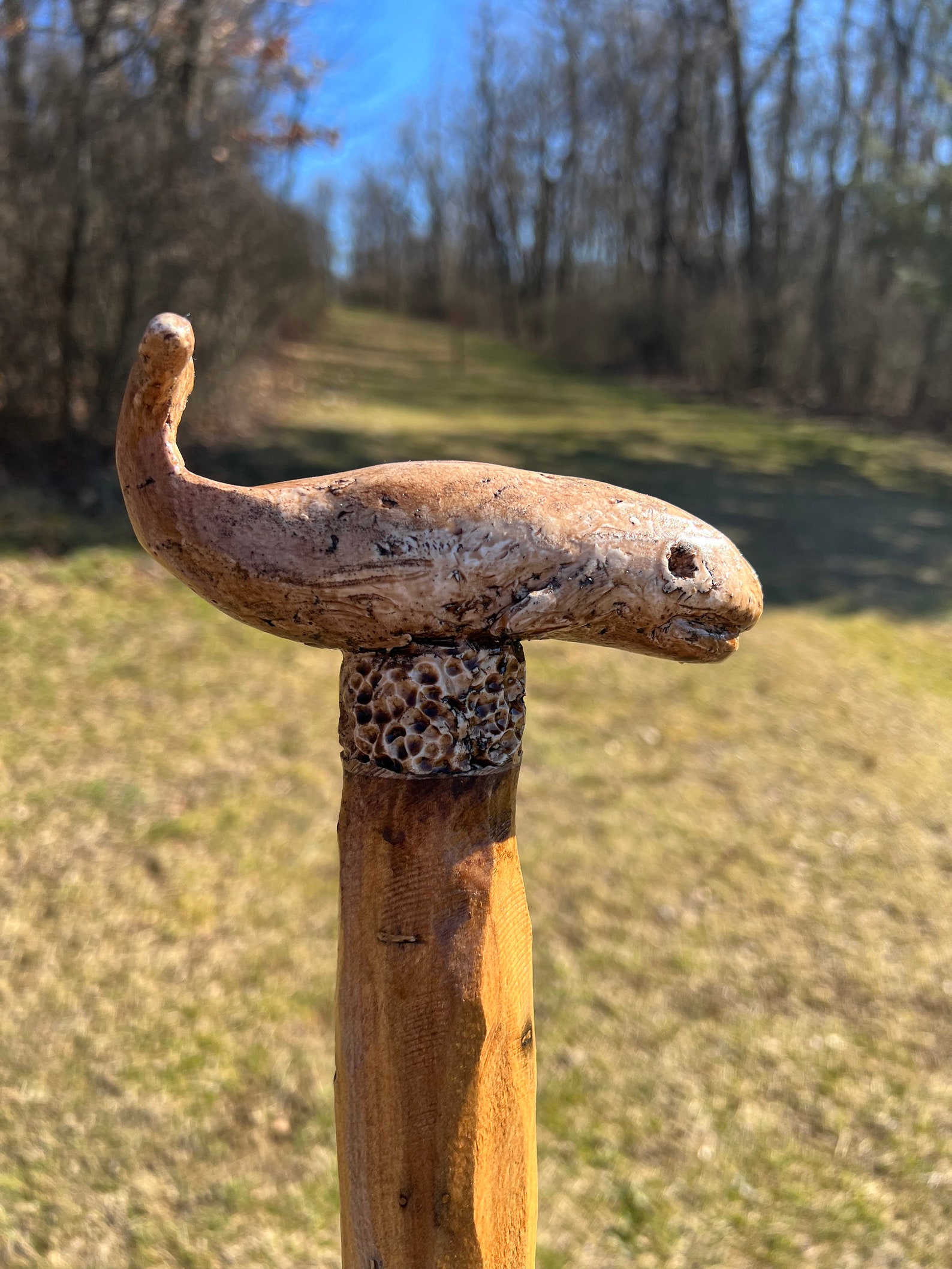 Whale Walking Stick | Made in the USA | Hand Carved Hiking Staff ...