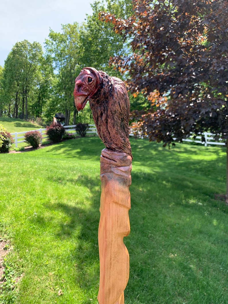Turkey Buzzard Walking Stick Made in the USA Hand Carved - Etsy