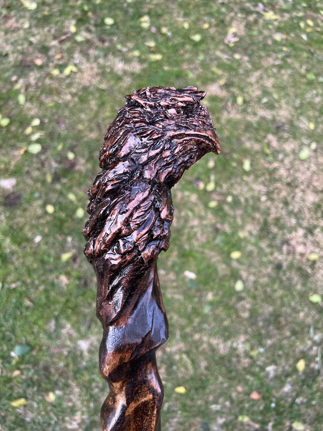 Frogmouth Hawk Walking Stick Made in the USA Hand Carved Hiking Staff ...