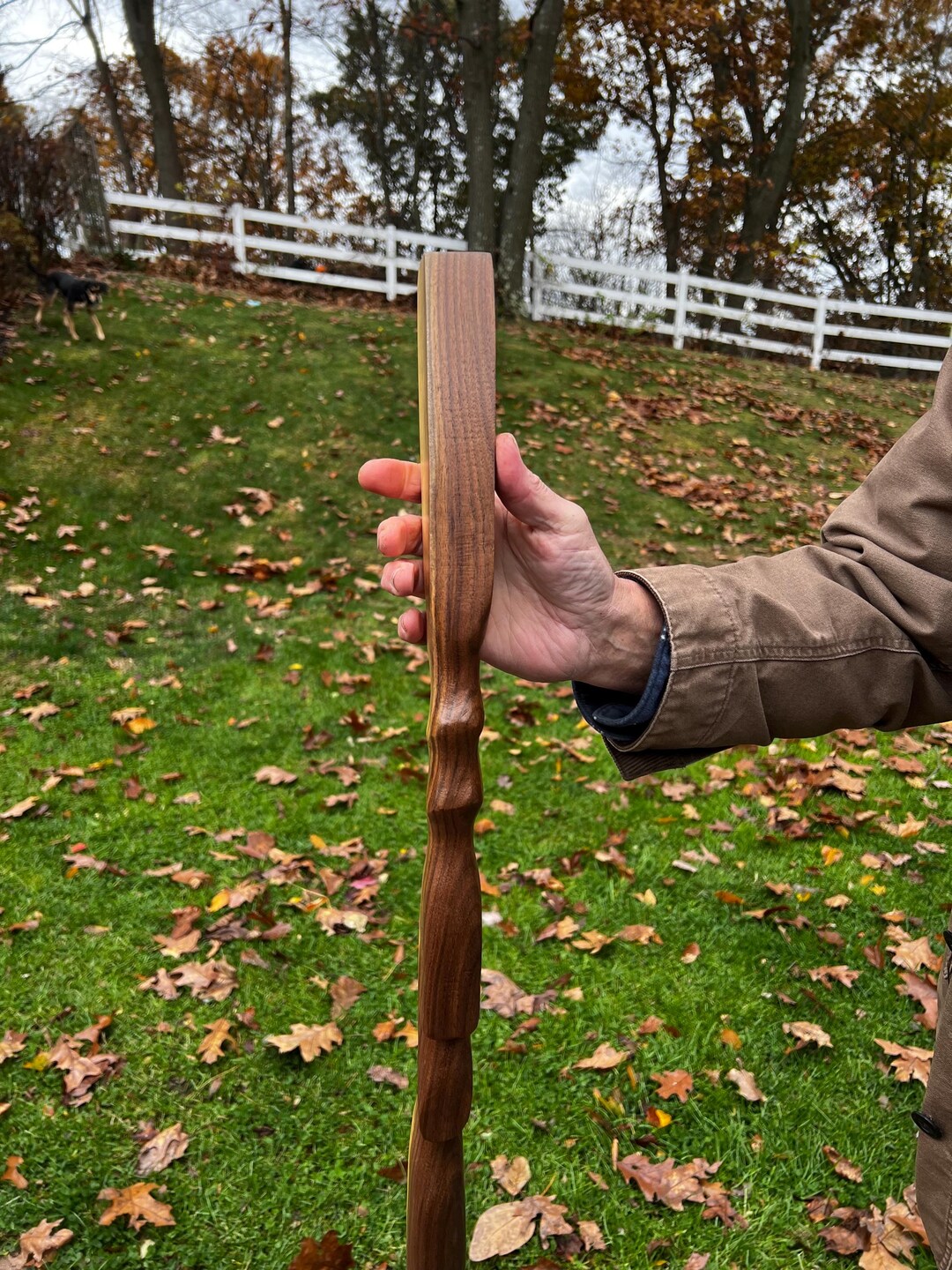 Black Walnut Walking Stick, 54”" Hand-carved, One-of-a-kind Walking ...