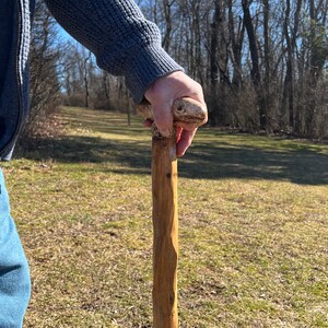 Whale Walking Stick | Made in the USA | Hand Carved Hiking Staff ...