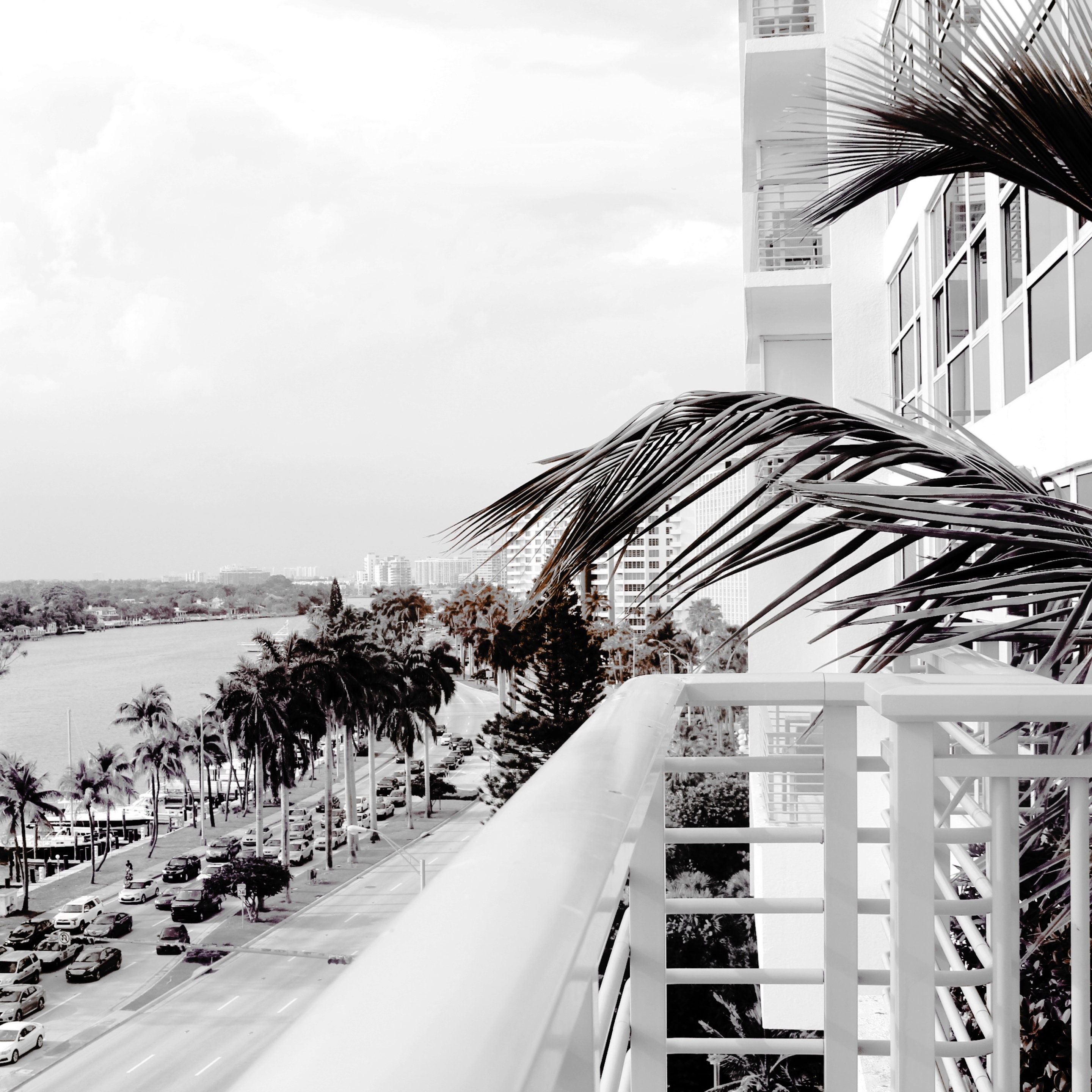 Miami Photography Miami Wall Art Miami Art Miami Beach Set - Etsy