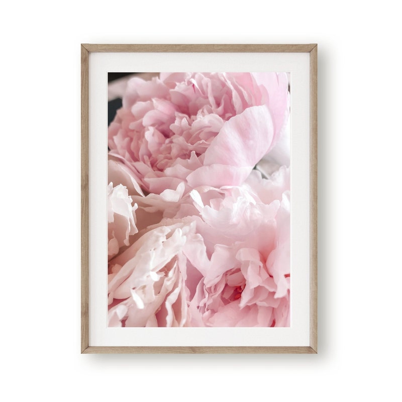 Peony Photography - Etsy