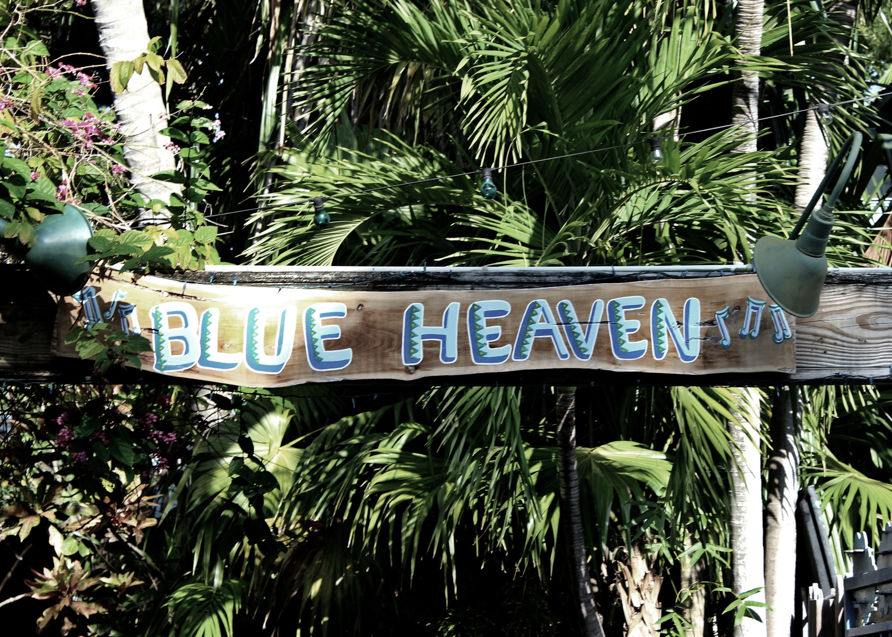 Key West Photography Blue Heaven Restaurant Wanderlust - Etsy