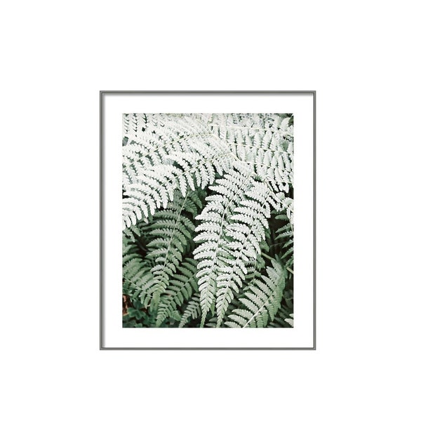 Modern Fern Art - Etsy