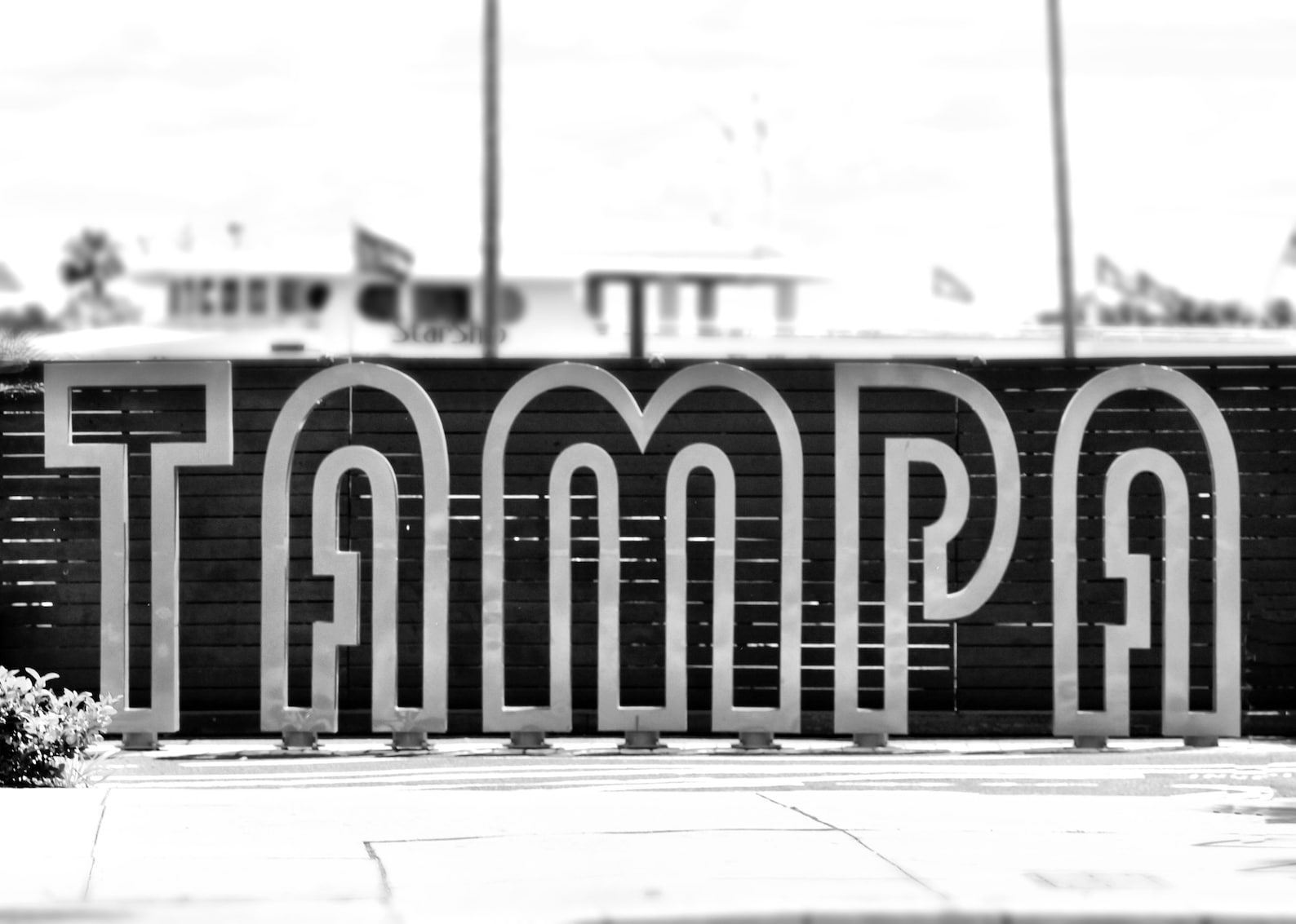 Tampa Photography Tampa Sign Photo Tampa Bay Florida - Etsy