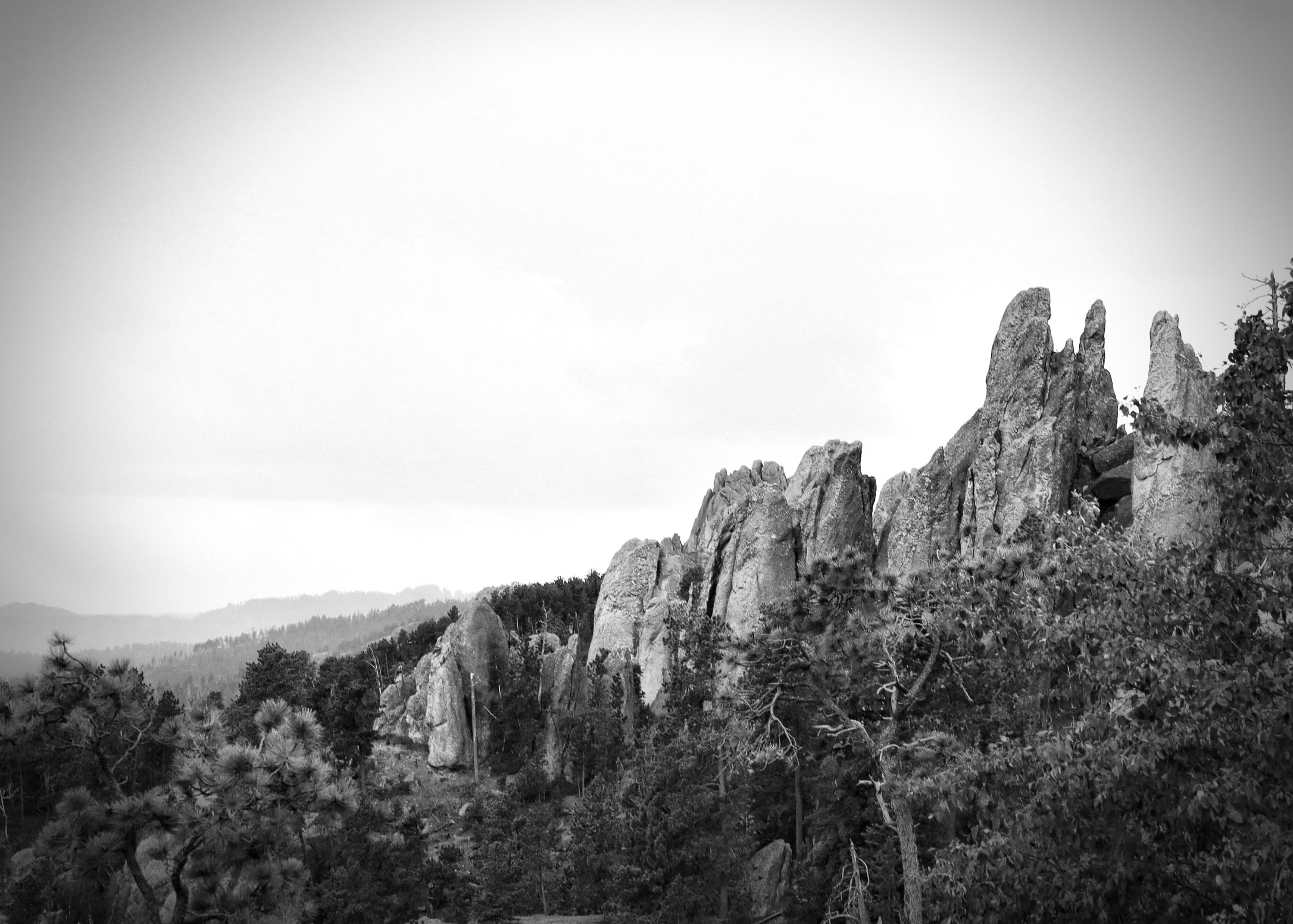 Black Hills Art Black Hills Wall Art South Dakota - Etsy