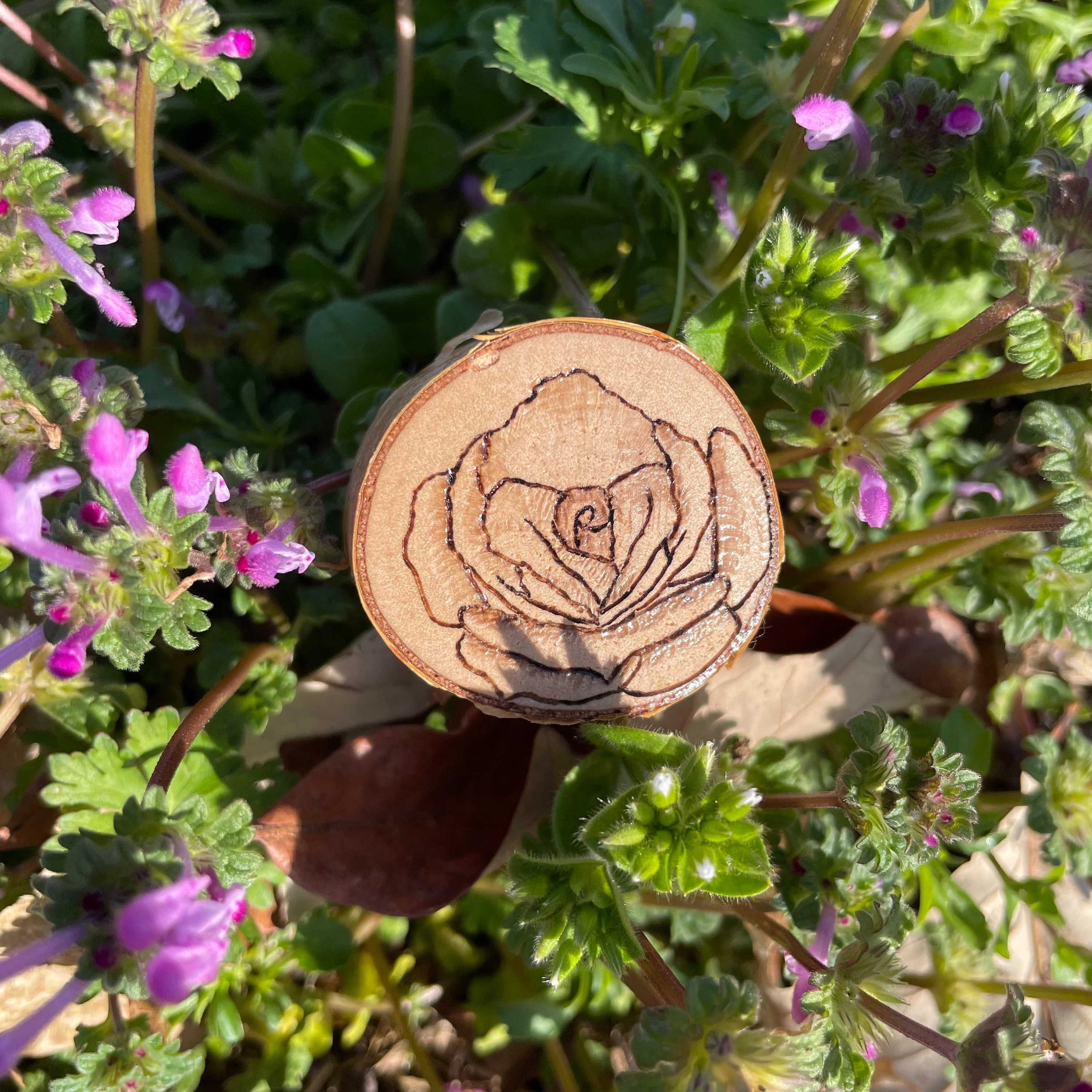Wood Burned Magnets, Pyrography, Alien Art, Pine Tree, Mushrooms, Paw ...