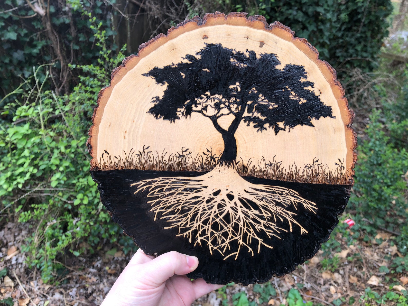Wood Burned Tree of Life | Pyrography | Wall Art | Gift | Live Edge ...