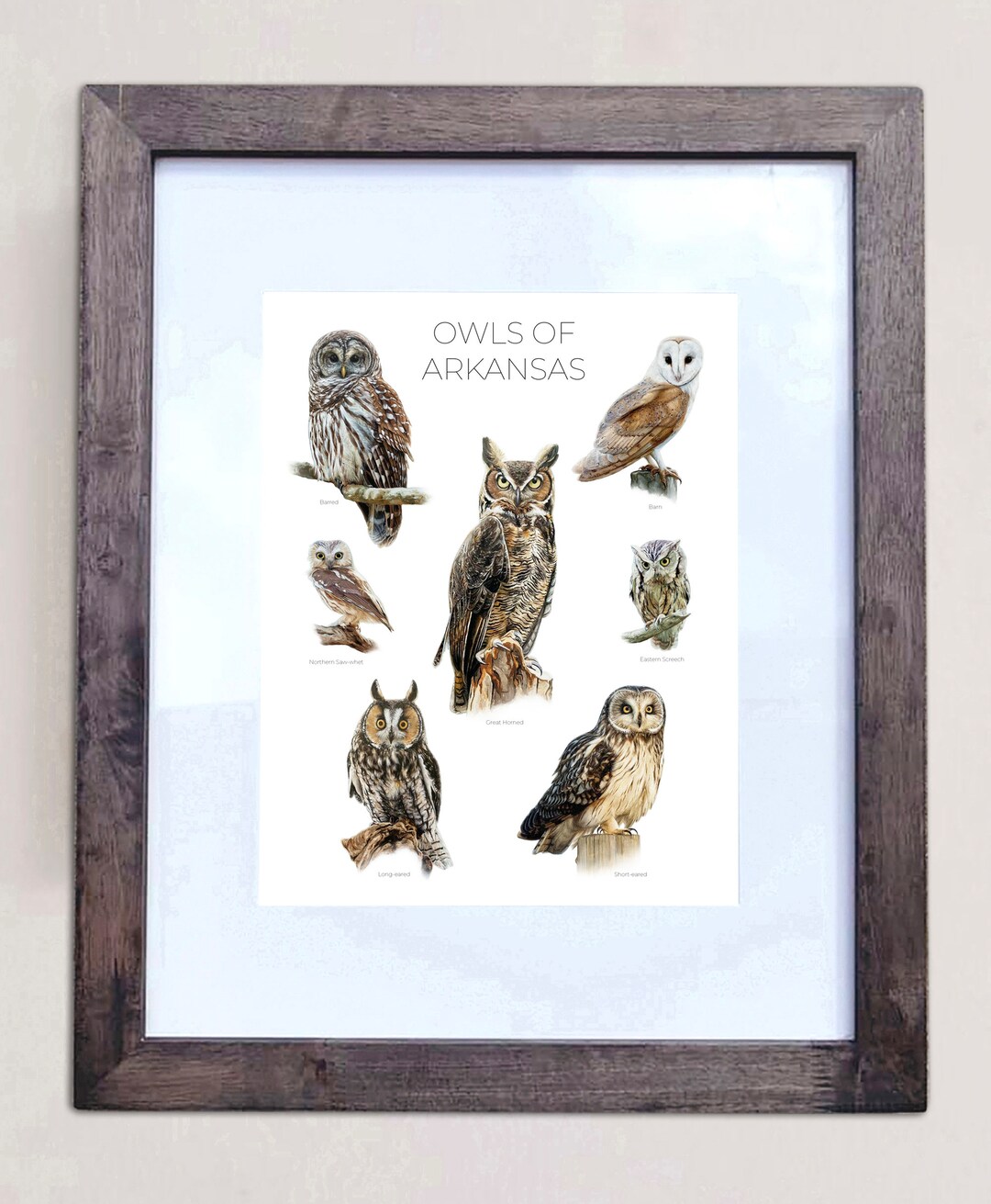 Owls of Arkansas- Print of 7 Owl Oil Paintings - Etsy