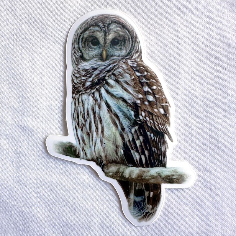 Owl Sticker - Etsy UK