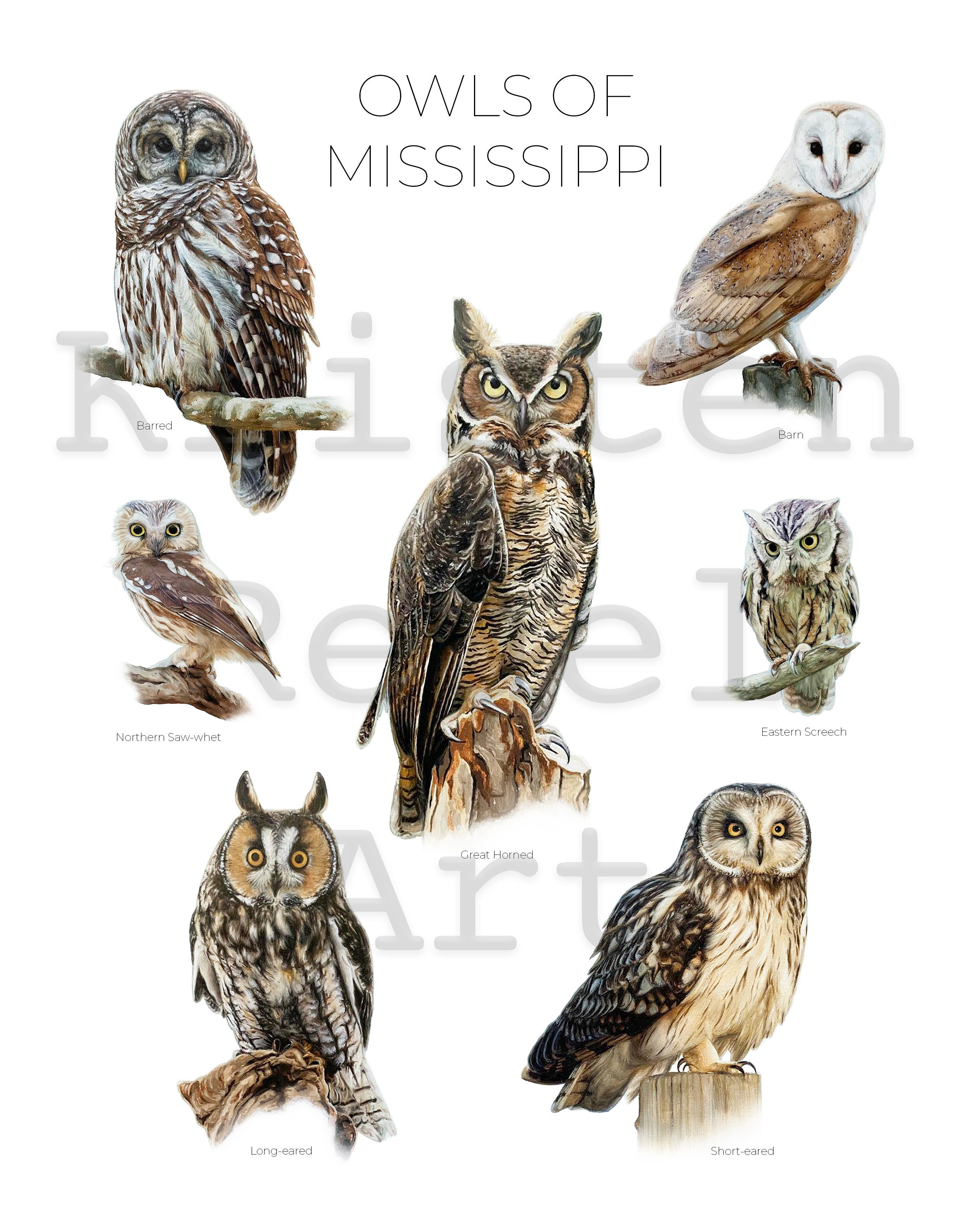 Owls of Mississippi- Print of 7 Owl Oil Paintings - Etsy