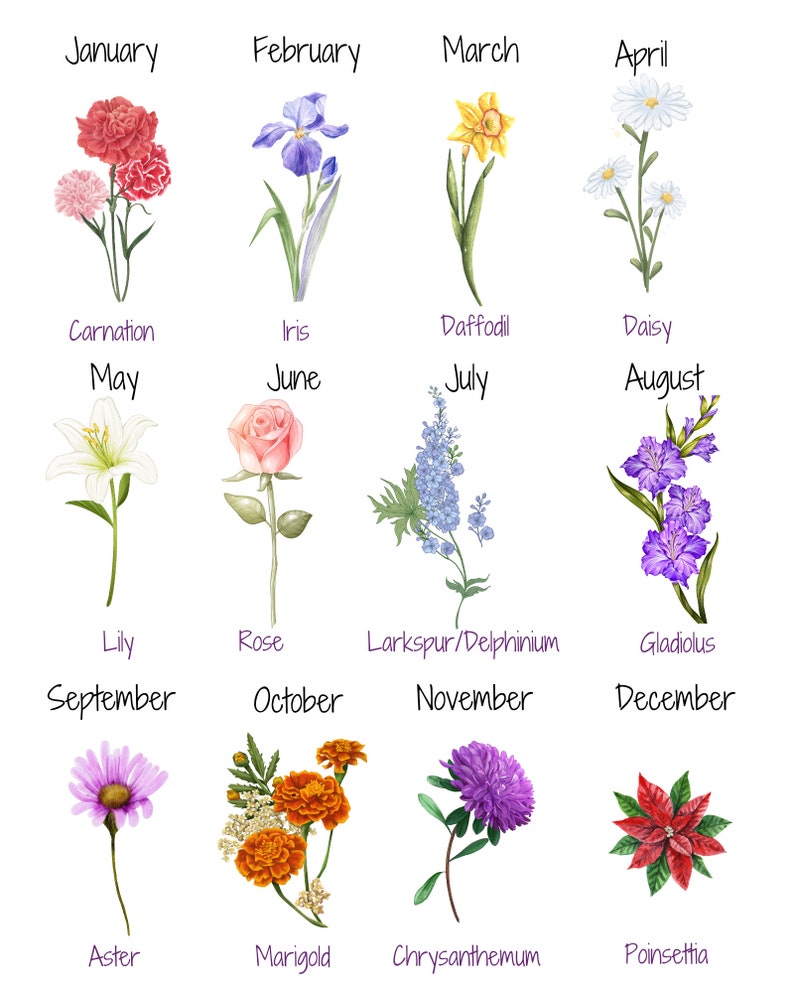 Elevate Your Living Space With a Stunning Watercolor Birth Month Flower ...