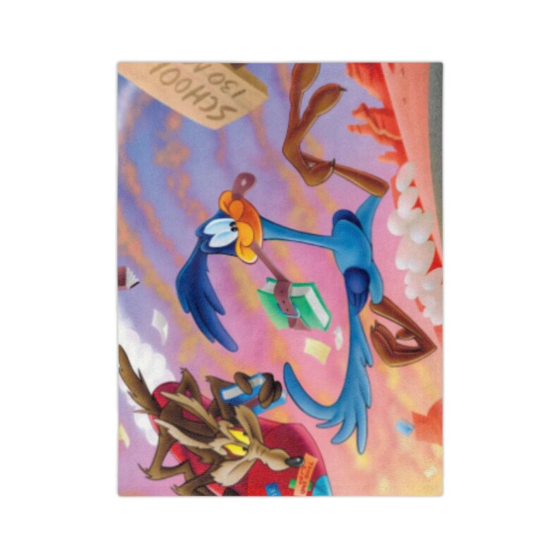 The NEW Road Runner and Coyote Blanket! - Etsy