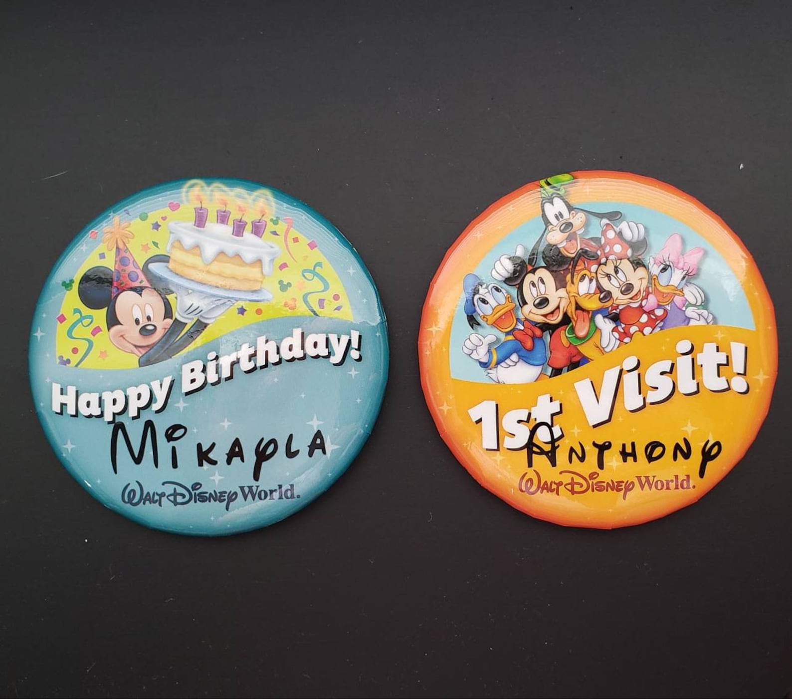 Custom Walt Disney World Button 1st Visit Add Your Own Text | Etsy