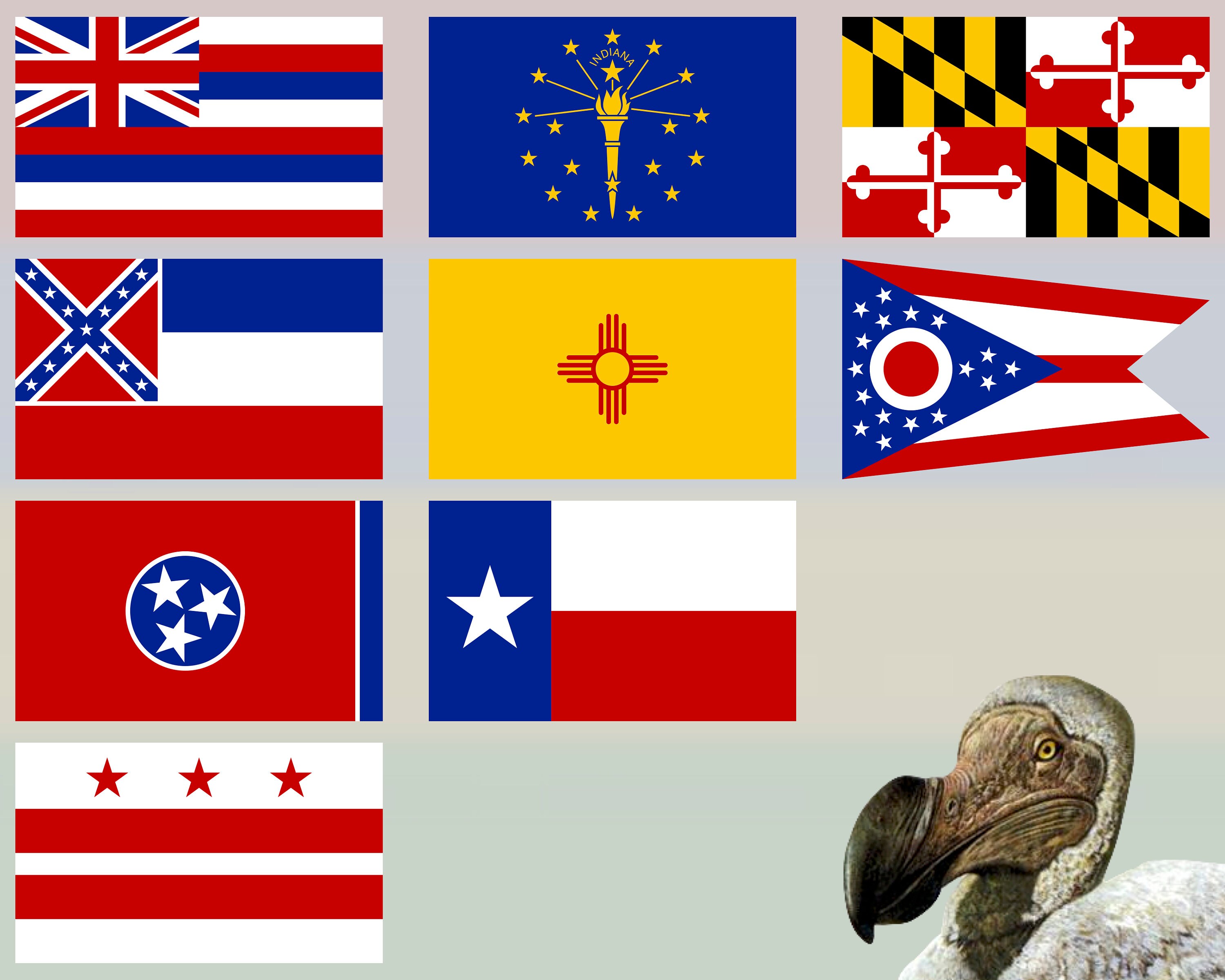 45 regional flags, Useful selection, Bitmap & vector images - Etsy UK