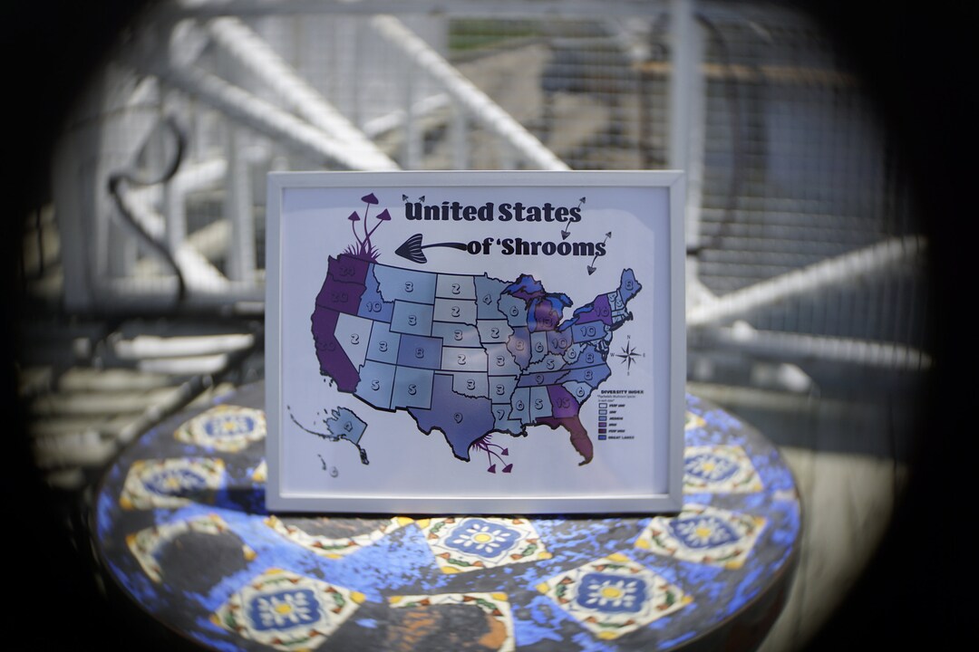 Psychedelic Mushroom Map, Psilocybin Mushroom Poster, Trippy, Science ...