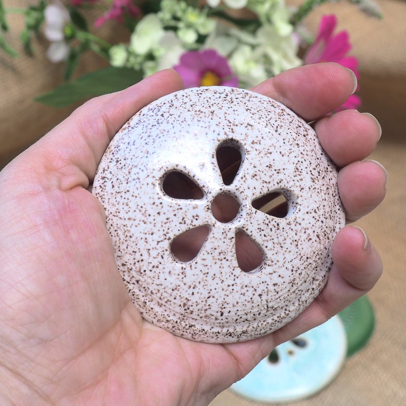 Mason Jar Frog Lid - Etsy