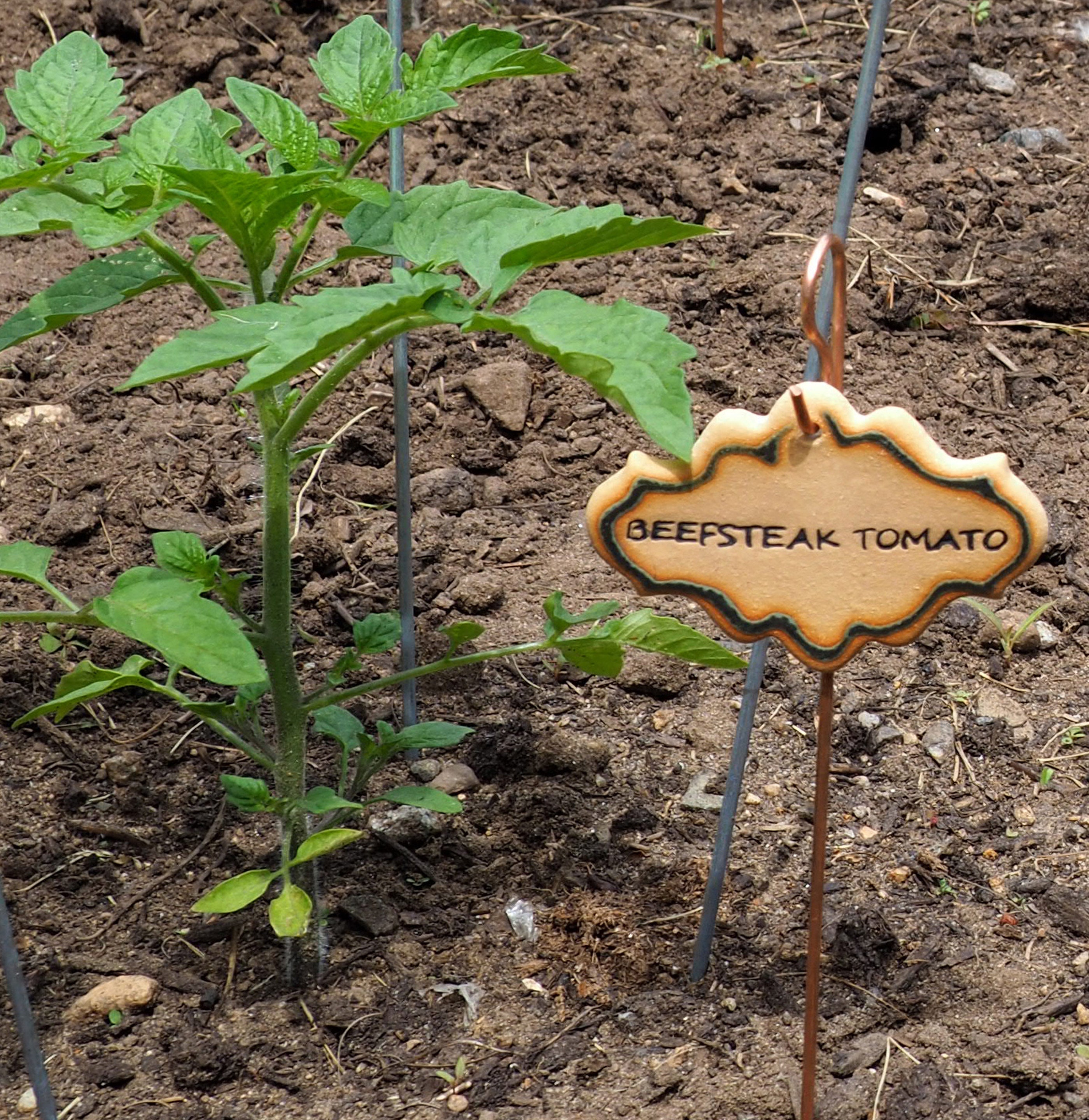 Set of 5 Plant Markers Handmade Pottery - Etsy