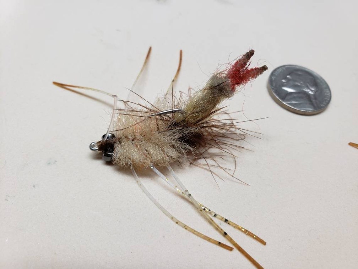 Strong Arm Crabs. Size 6 - Etsy