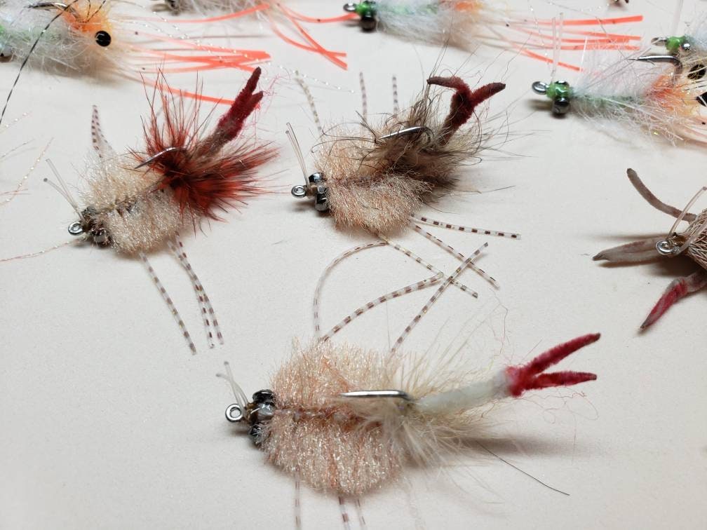 Strong Arm Crabs. Size 6 - Etsy
