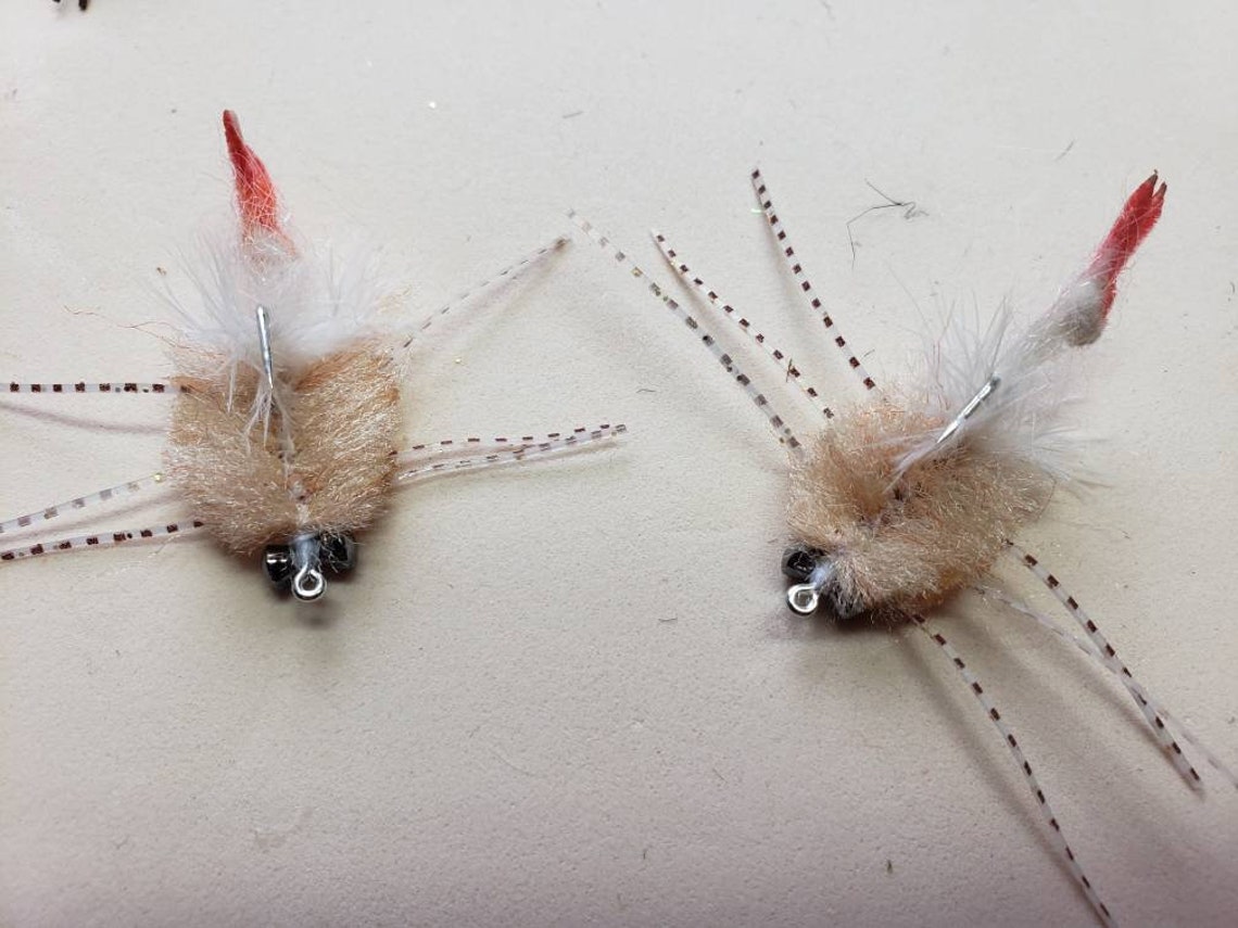 Strong Arm Crabs. Size 6 - Etsy