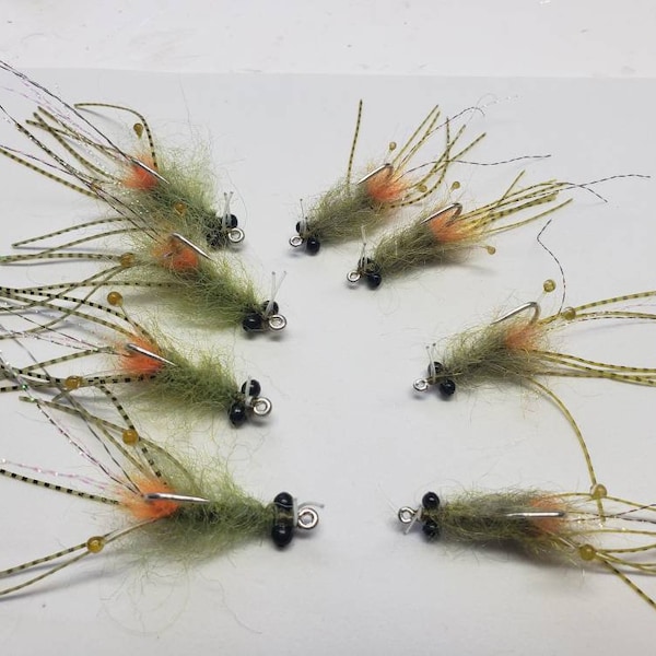 Mantis Shrimp - Etsy