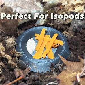 Isopod Feeding Dish - 3" Round - Etsy