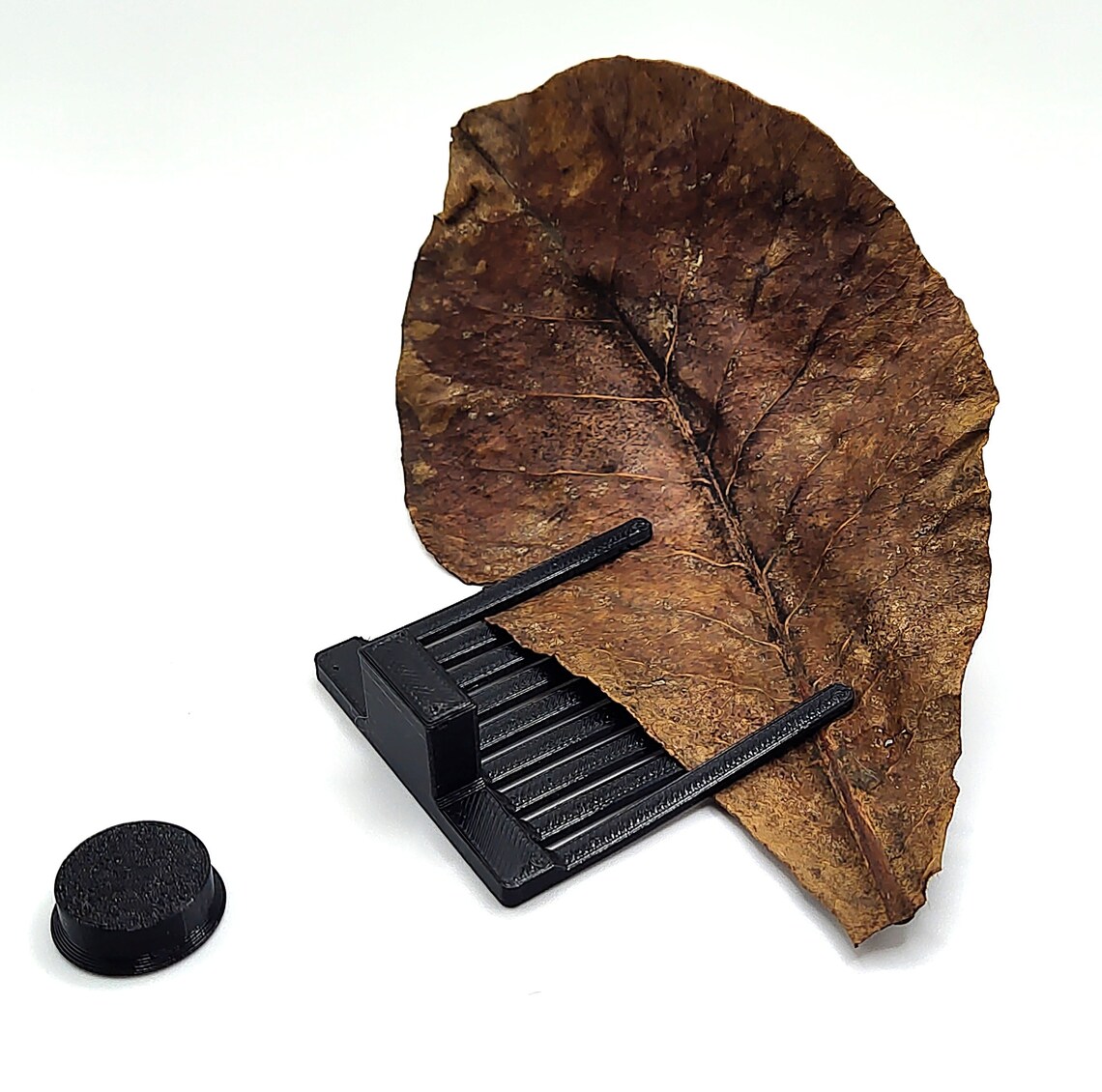 Magnetic Aquarium Leaf Holder for Shrimp and Betta Fish - Etsy