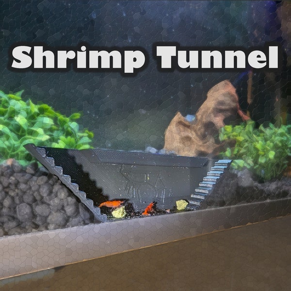 Fish Tunnel - Etsy