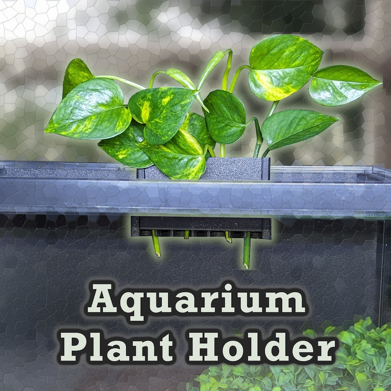 Aquarium Plants - Etsy