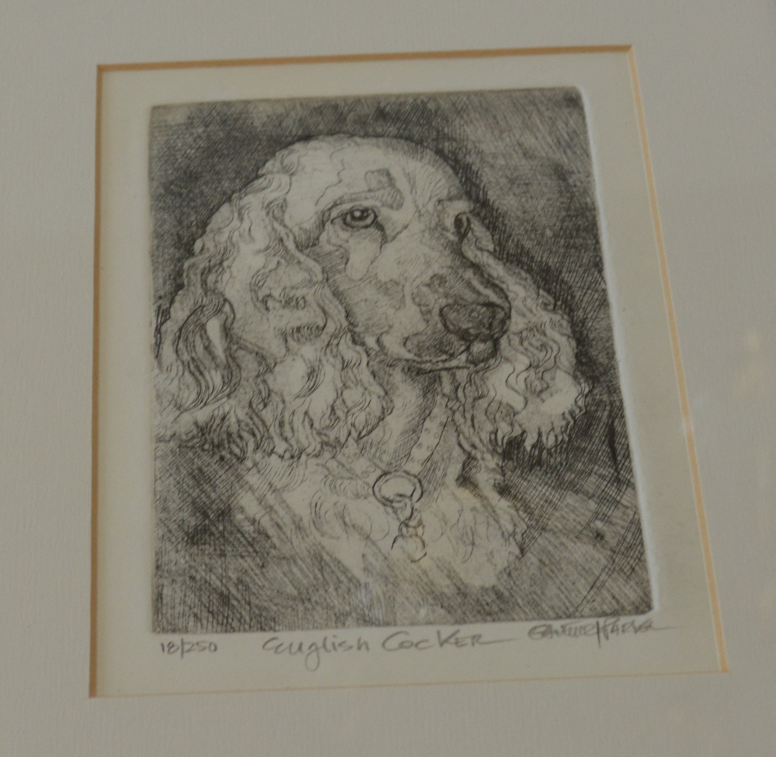 Lithograph/print-artwork by Gauthier/parker, English Cocker Spaniel - Etsy
