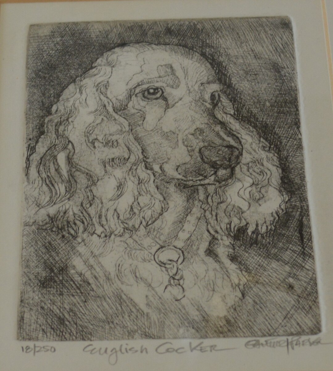 Lithograph/print-artwork by Gauthier/parker, English Cocker Spaniel - Etsy