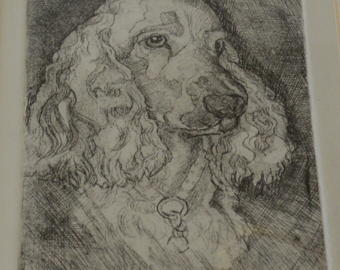 Lithograph/print-artwork by Gauthier/parker, English Cocker Spaniel - Etsy