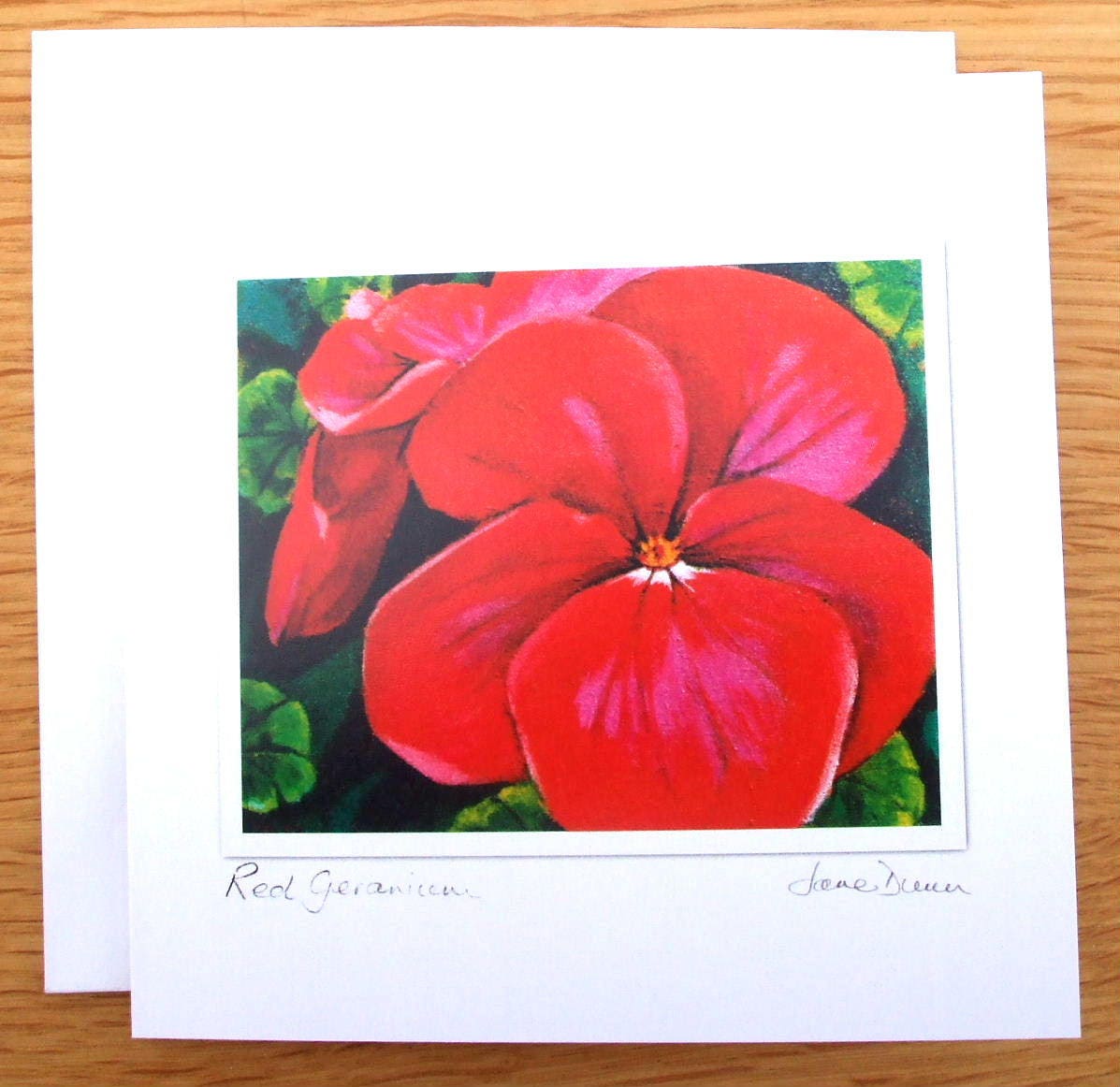 Red Geranium, Gardener Gift Card, Ireland Decor, Ireland, Ireland ...