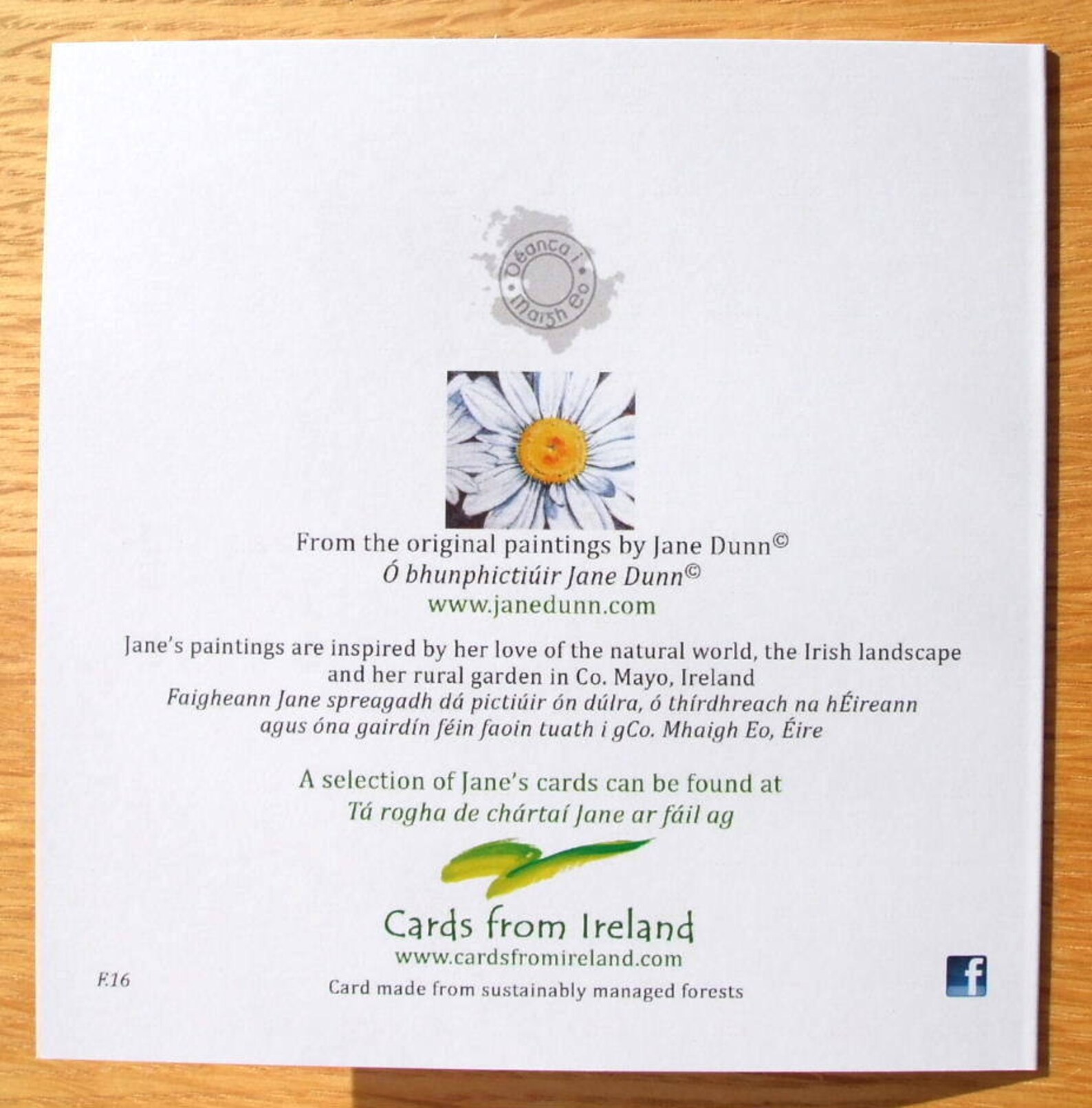 Daisy, Flower Card, White Flower, Cottage Garden, Cards From Ireland ...