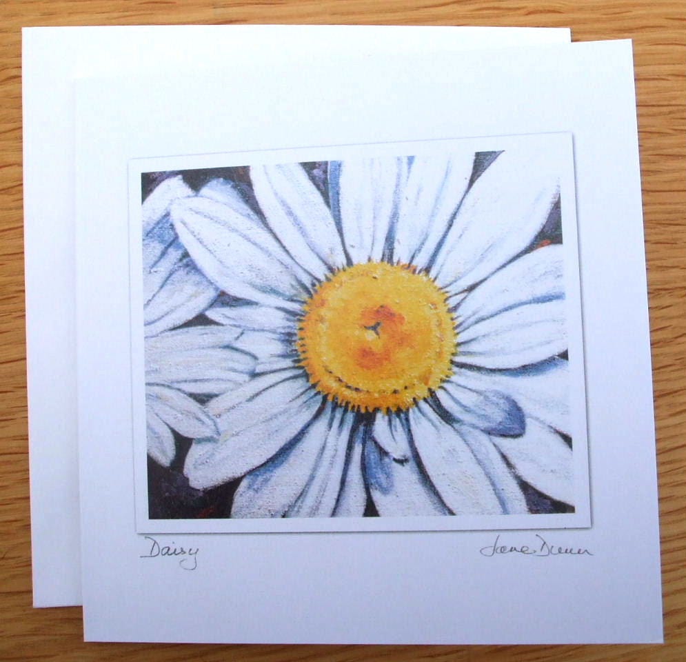 Daisy, Flower Card, White Flower, Cottage Garden, Cards From Ireland ...