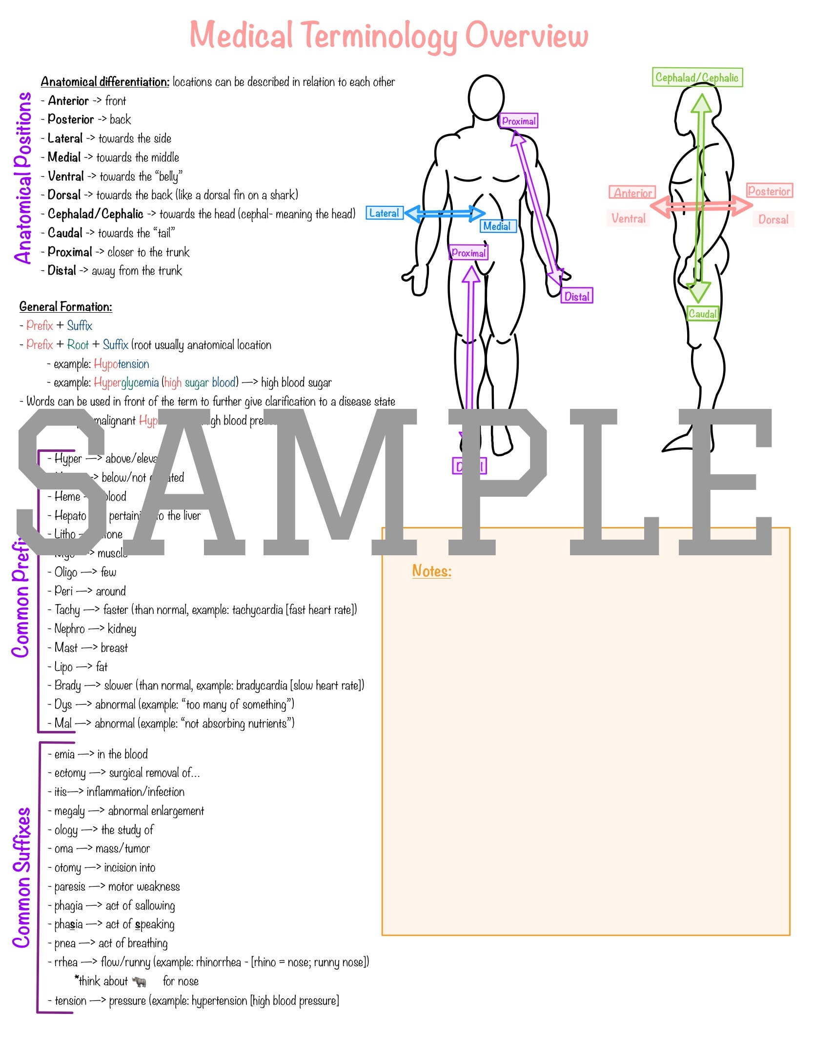 Medical Terminology Cheat Sheet - Etsy UK
