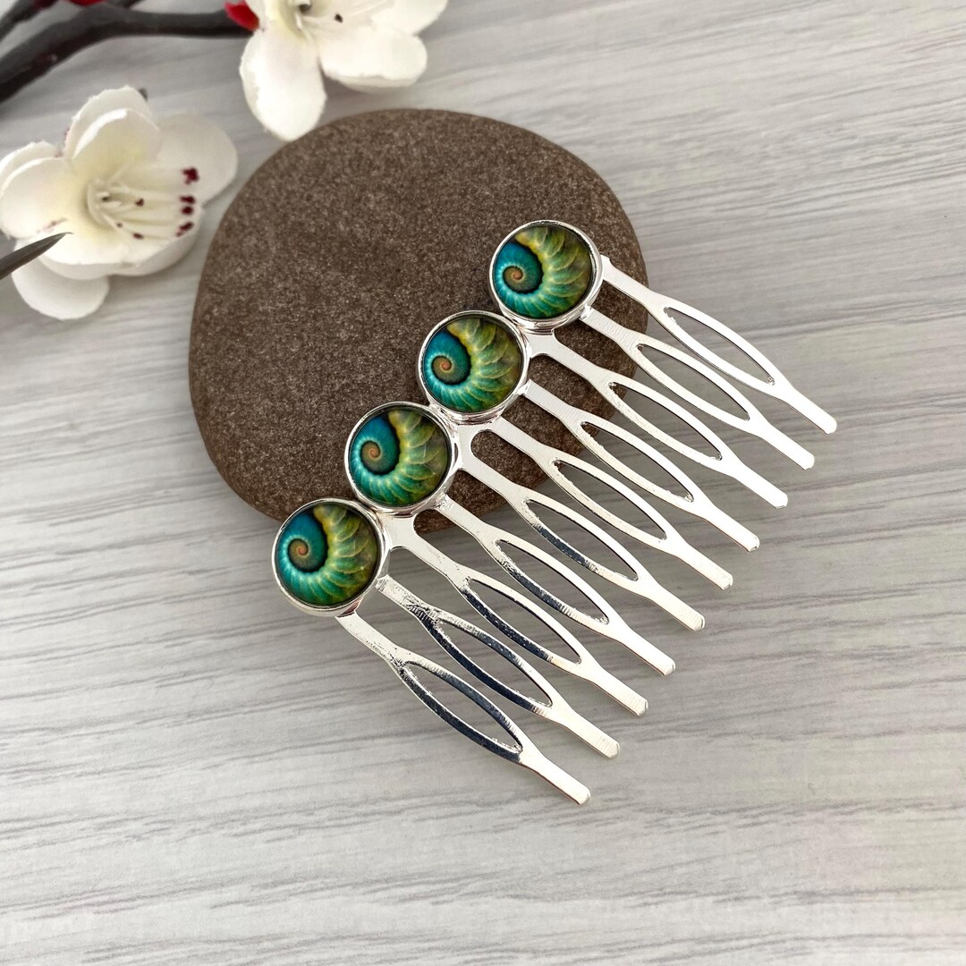 Ammonite Fossil Hair Comb, Small Hair Comb for Thin Hair, Fossil ...