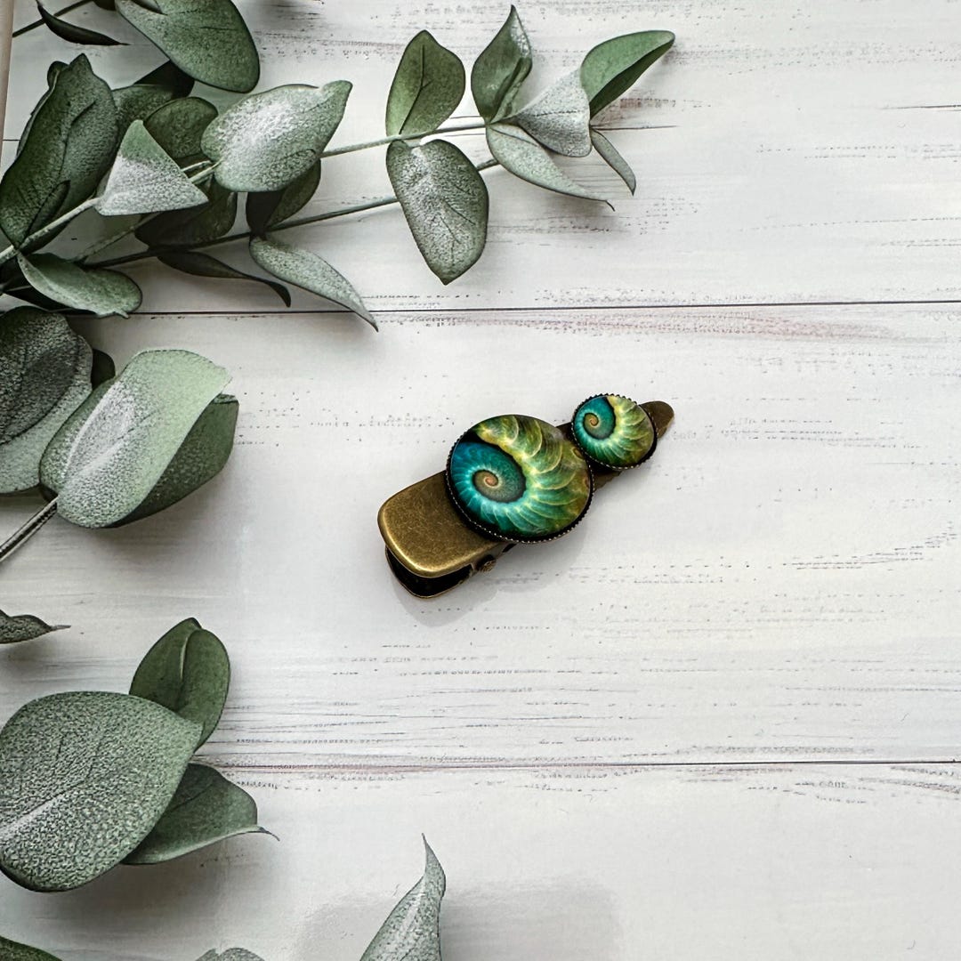 Emerald Green Ammonite Fossil Hair Clip: Bronze Alligator Grip - Etsy