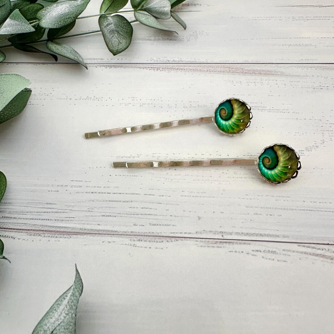 Ammonite Hair Clips, Fossil Picture Hairpins, Emerald Green Hair Slides ...