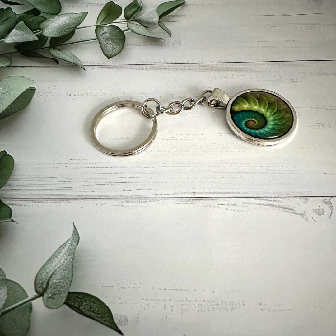 Ammonite Fossil Key Ring, Emerald Green Key Chain, Gifts for Men ...