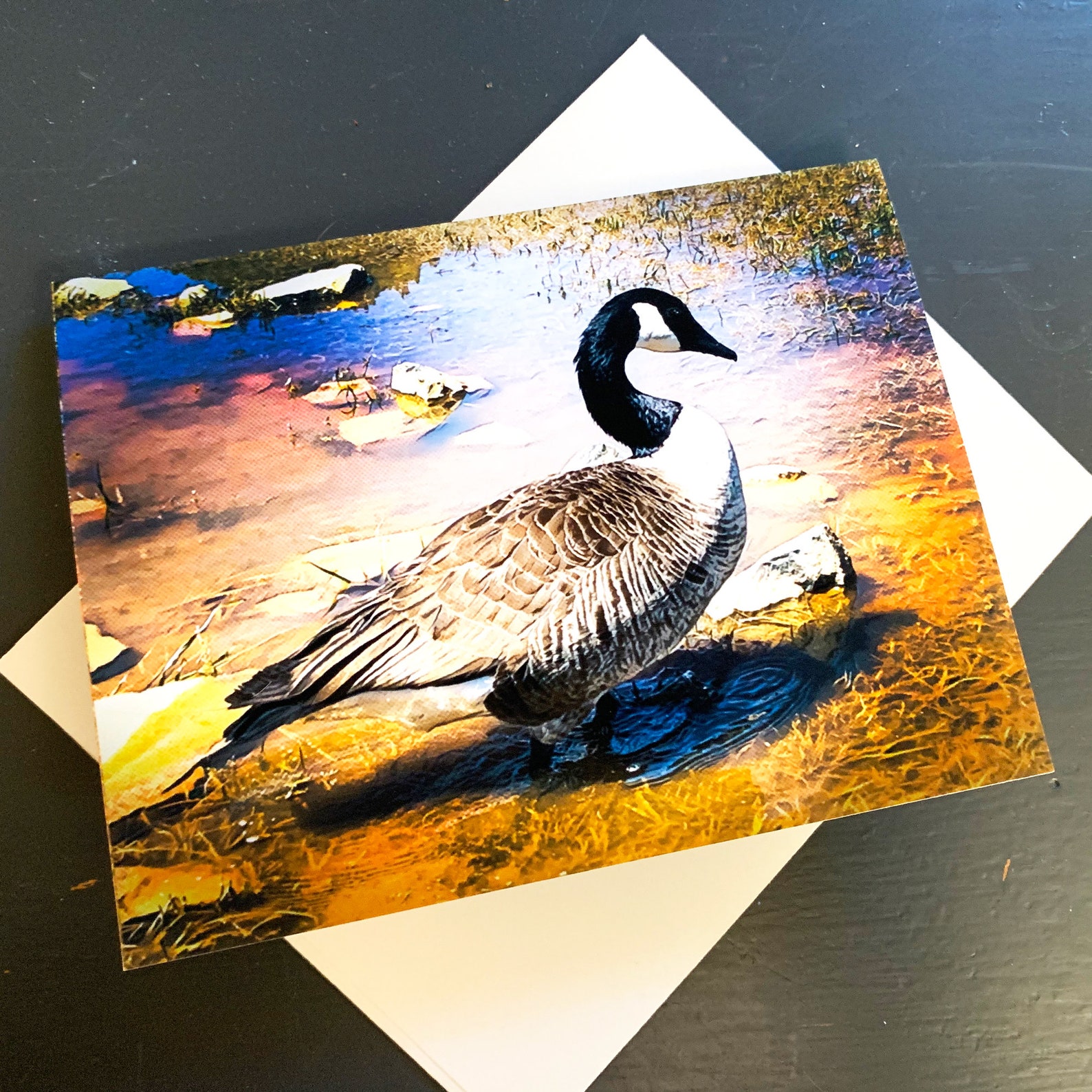 Canadian Goose Card / Greeting Card / Digital Download / Print - Etsy
