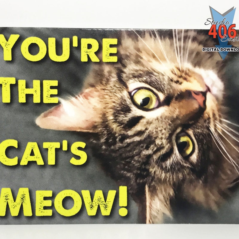 You're the Cats Meow - Etsy