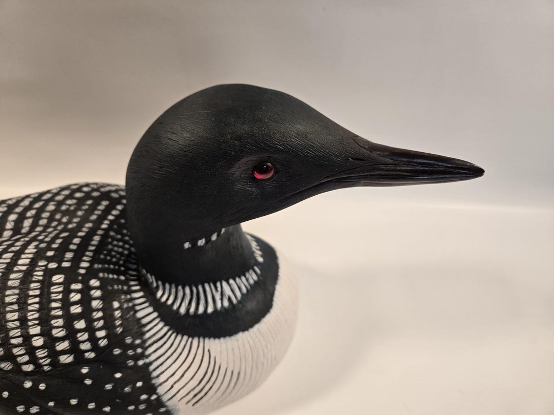 Common Loon - Etsy