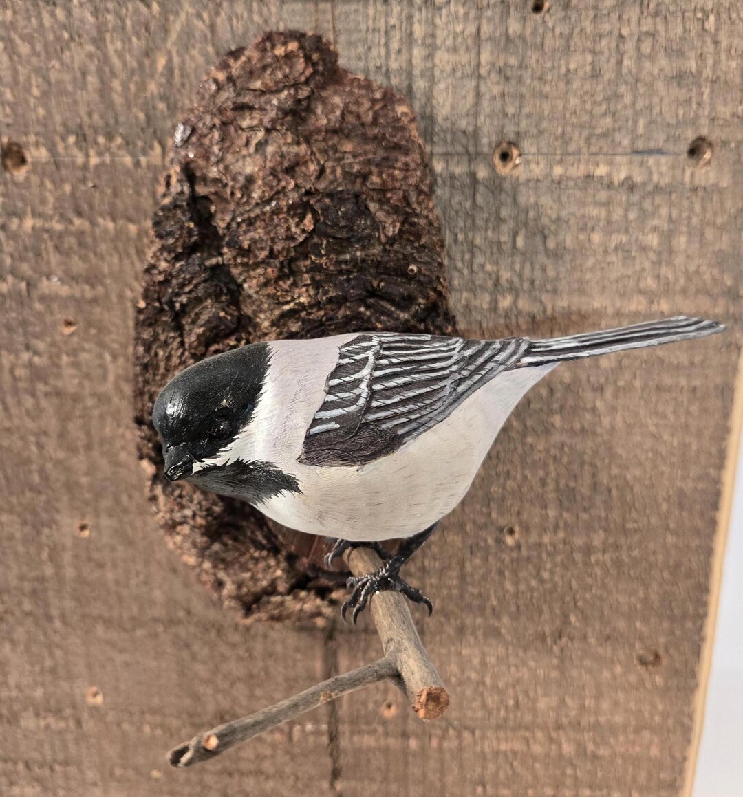 Chickadee on Pine Branch - Etsy