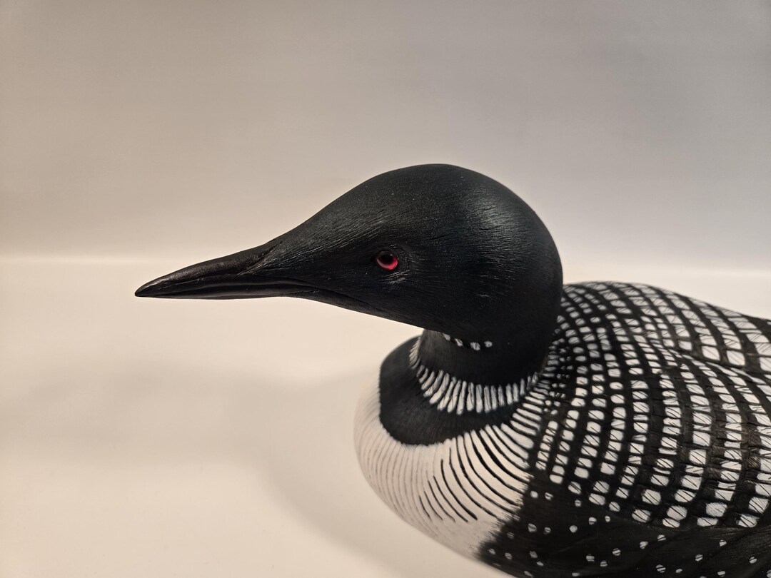 Common Loon - Etsy