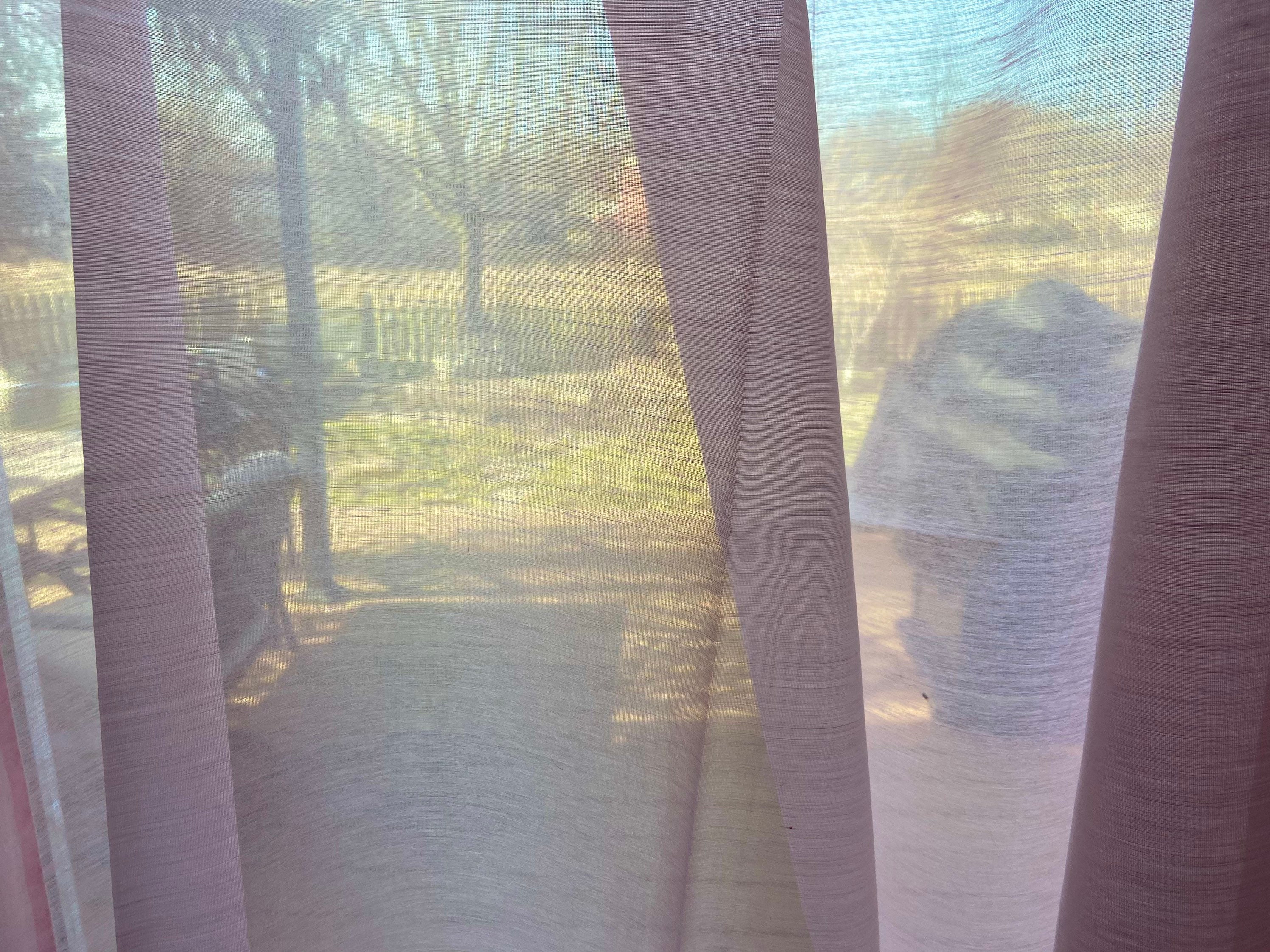 Pink Sheer Curtain Panel 1 Panel Croscill Curtain Company - Etsy