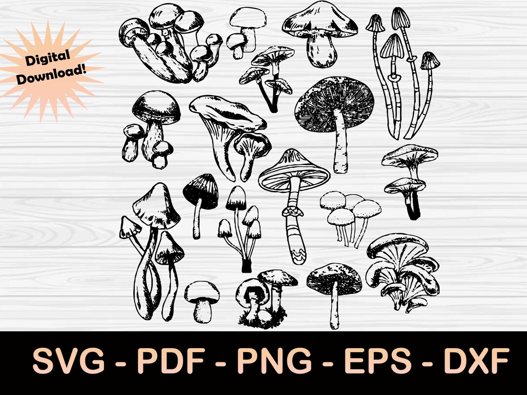 Mushroom Pattern SVG (svg, Pdf, Png, Eps, Dxf) Digital Download - Etsy